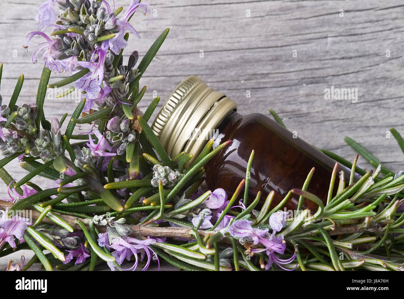 blue, health, medicinally, medical, flower, plant, green, leaves ...
