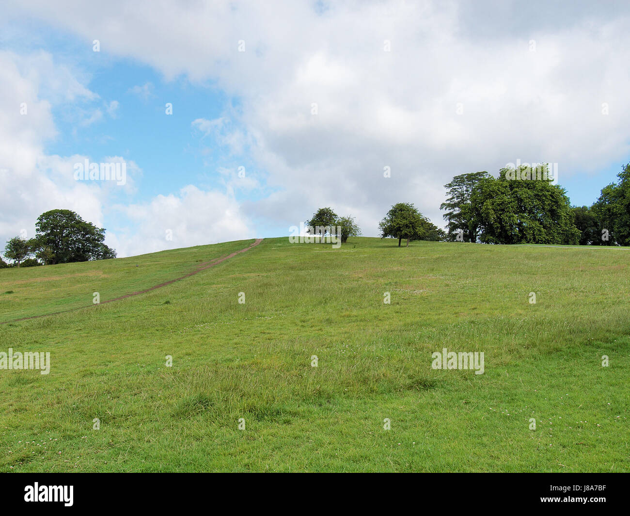 blue, europe, england, british, britain, english, meadow, grass, lawn ...