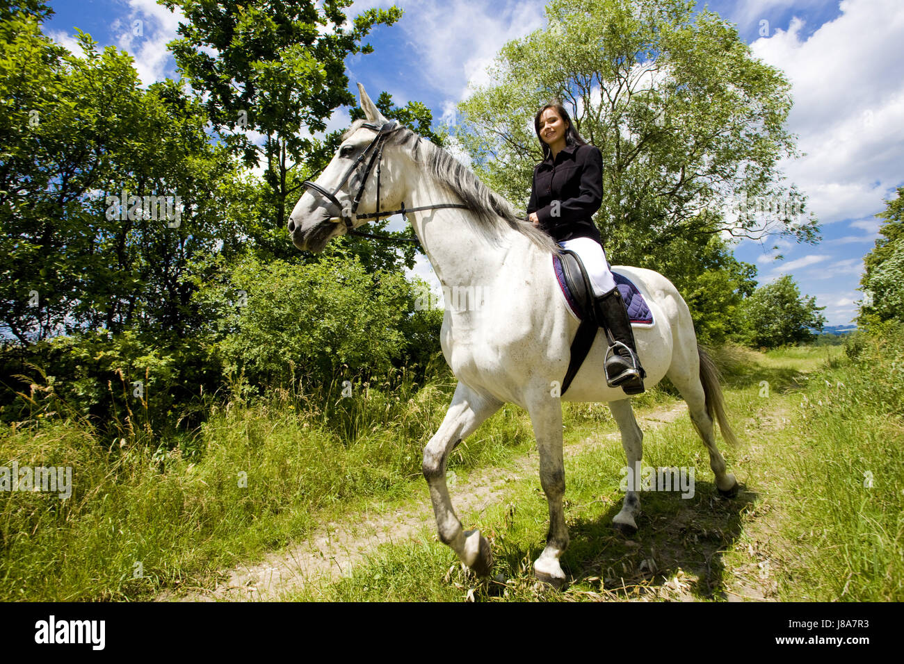 rider, equestrian, woman, humans, human beings, people, folk, persons ...