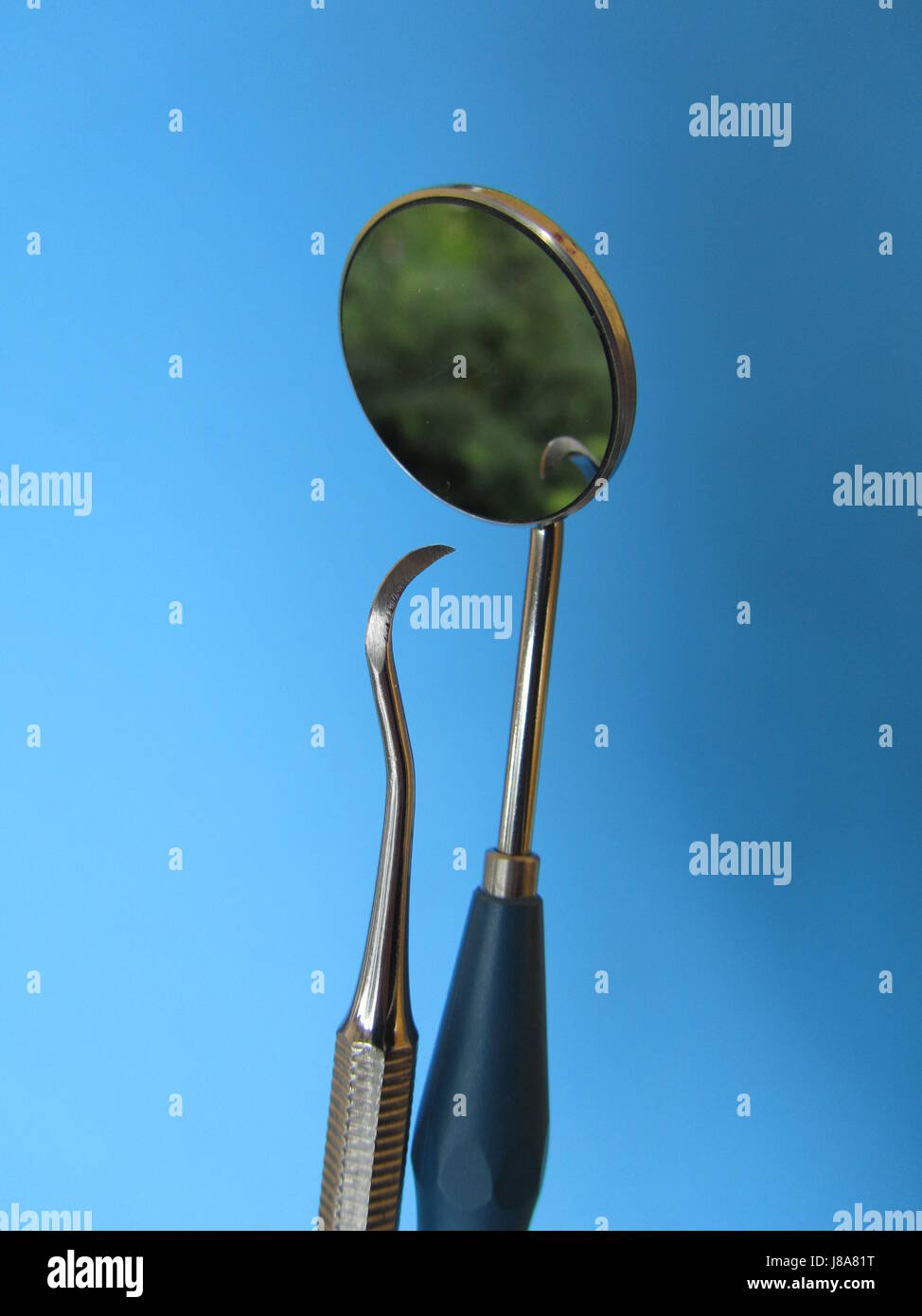 reflection, tooth, probe, dentistry, dental, prophylaxis, mirror ...