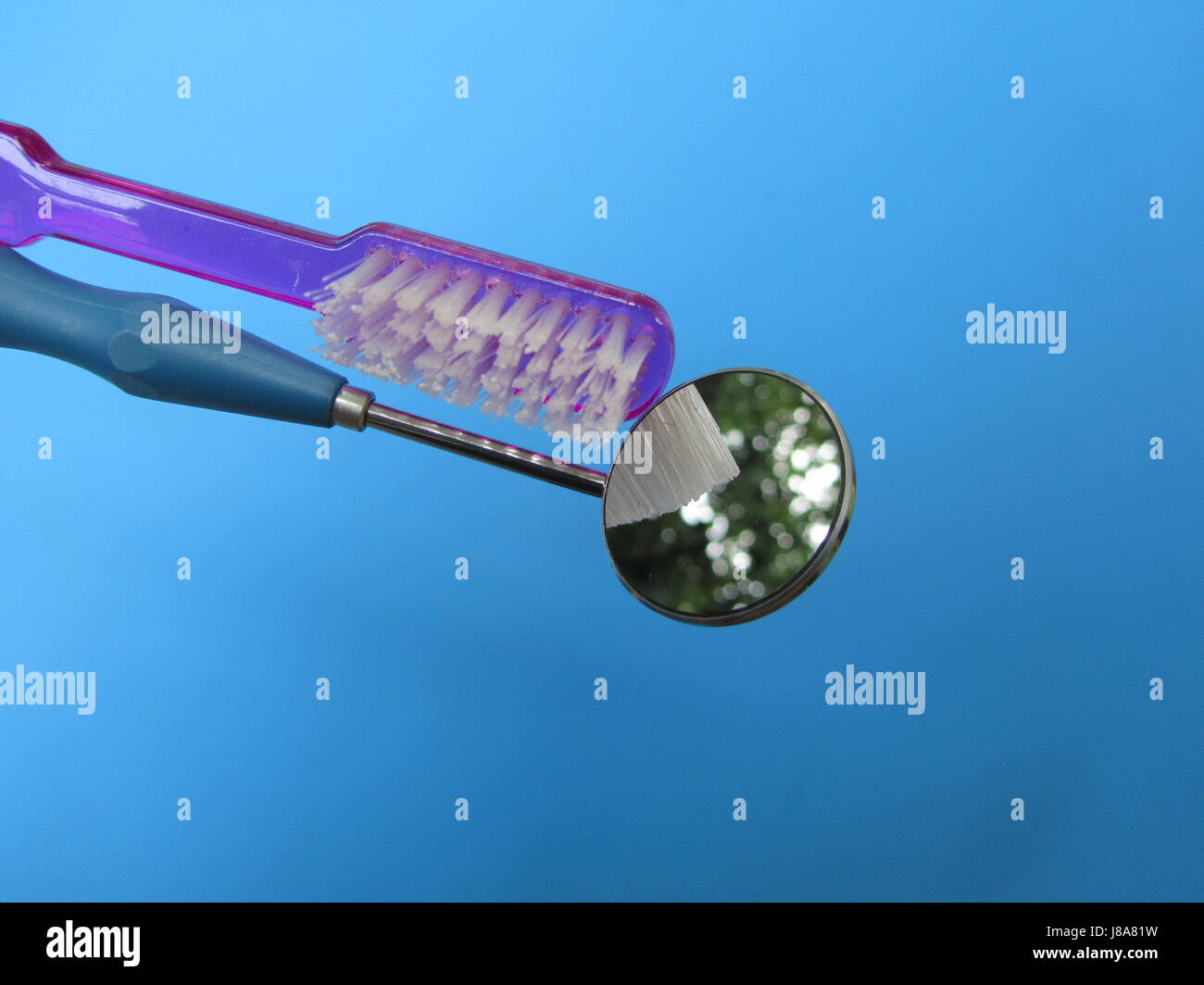 medicinally, medical, toothbrush, care of the teeth, investigation ...