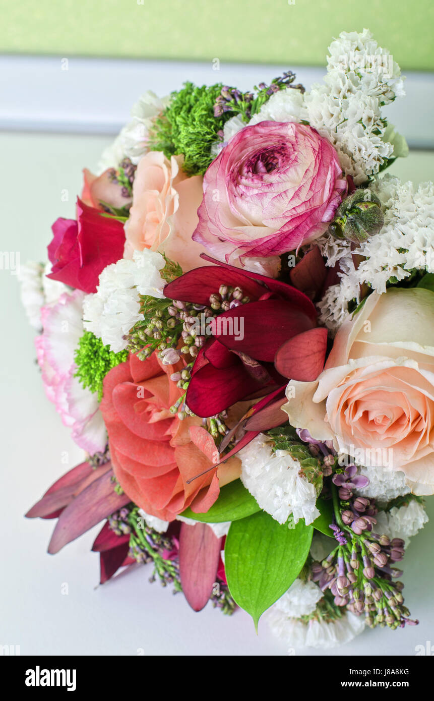 arrangement, beautiful, beauteously, nice, leaf, isolated, colour ...