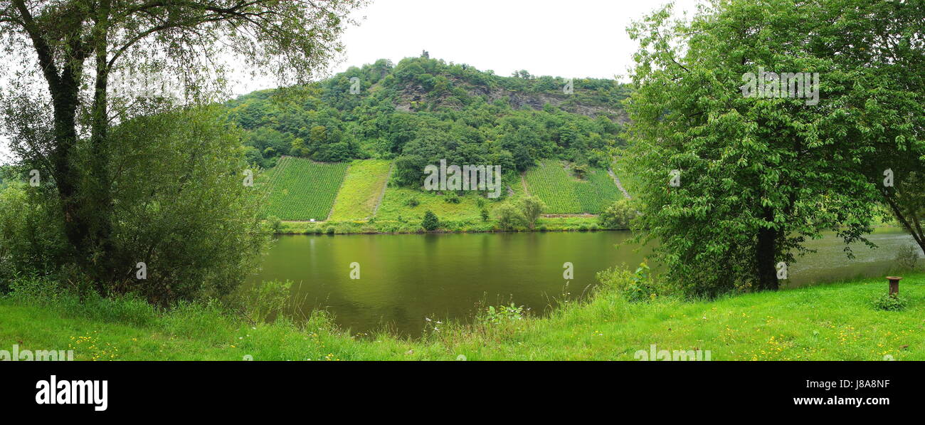 green, sight, view, outlook, perspective, vista, panorama, lookout ...