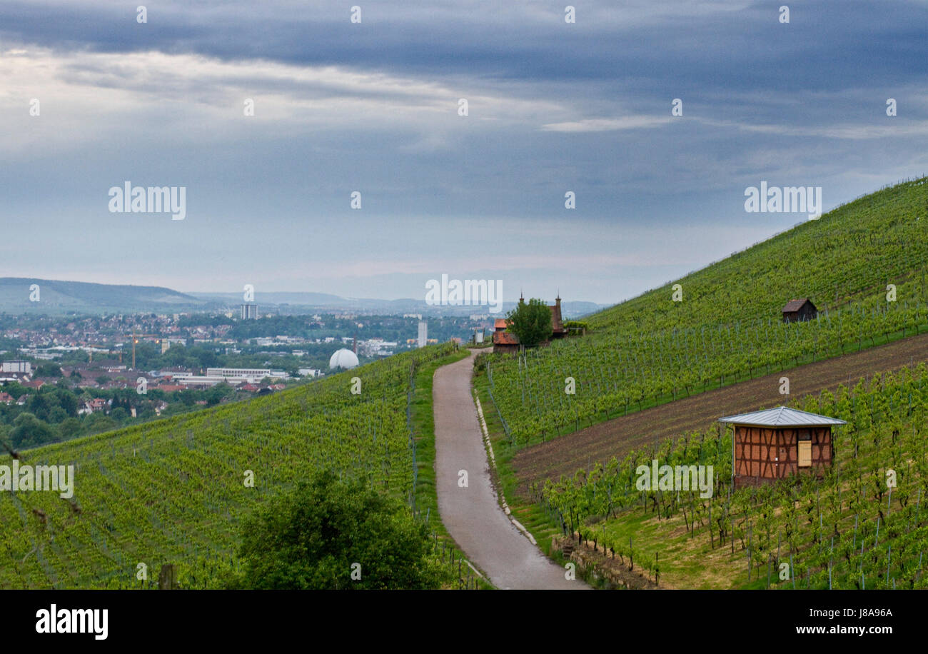 city, town, tree, agriculture, farming, vineyard, monoculture, germany ...