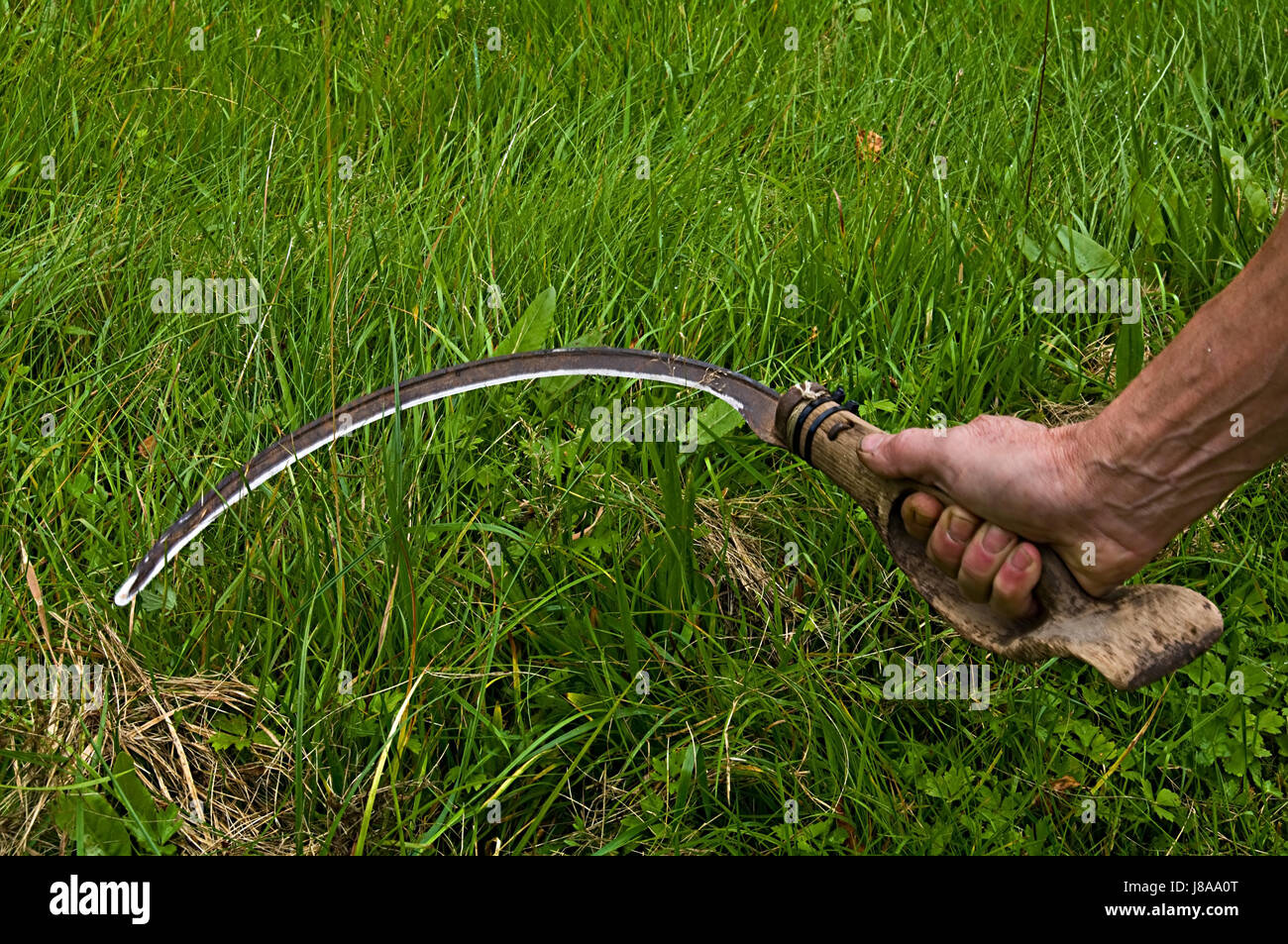 tool, wood, antique, handle, wise, attentive, alert, friendly ...