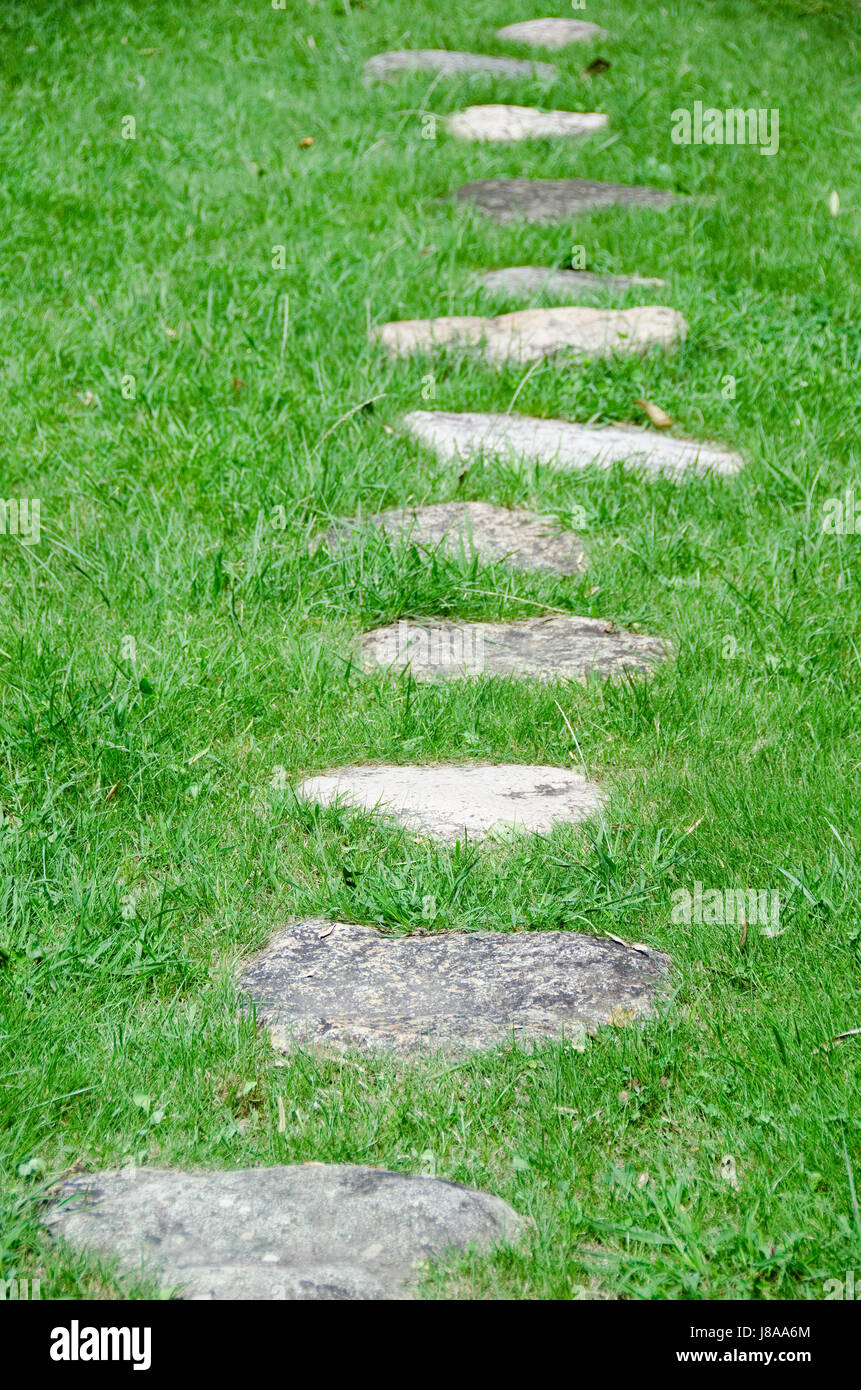 garden, stone, step, path, way, meadow, grass, lawn, green, round ...