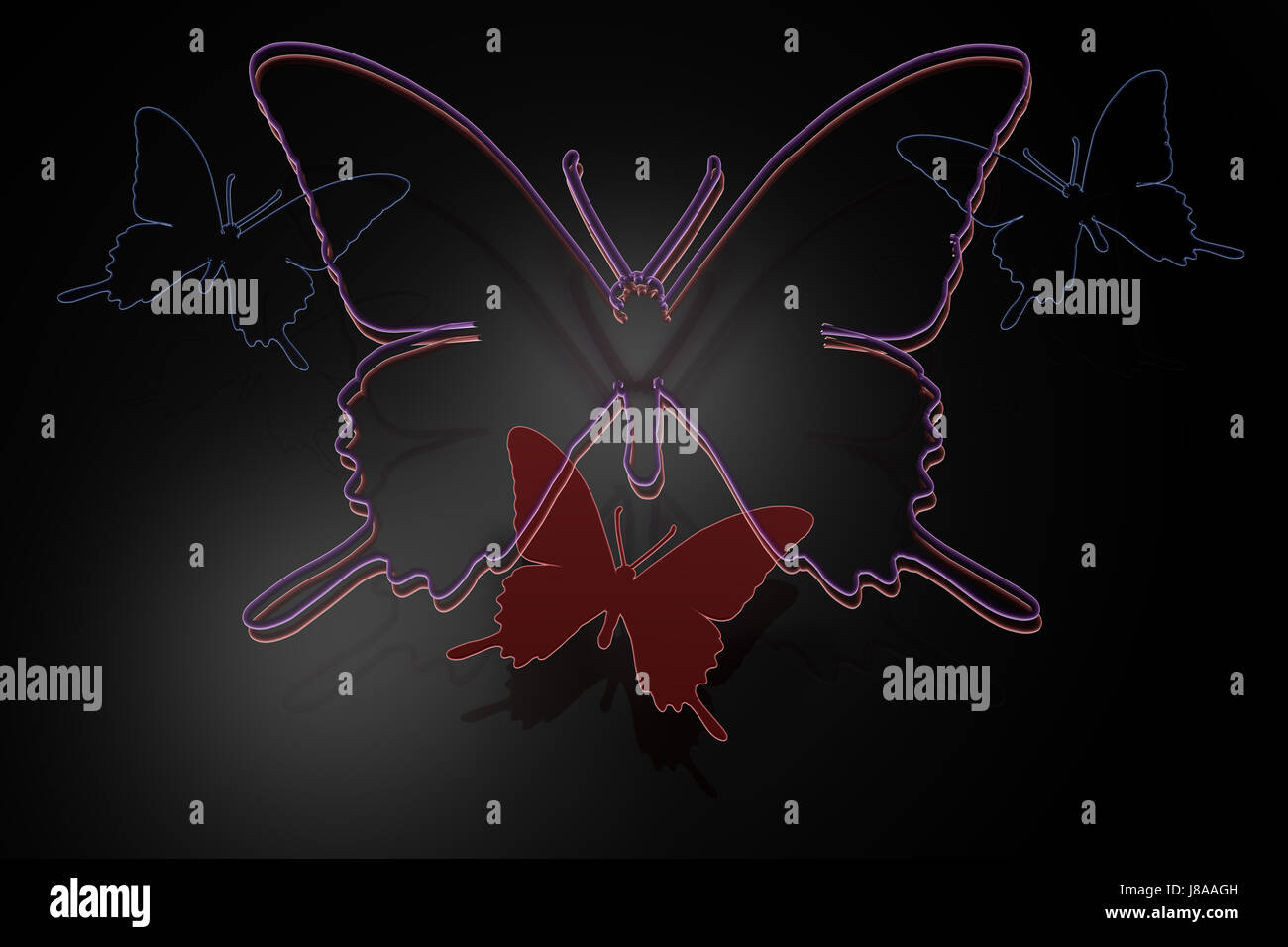 insect, butterfly, moth, abstract, pattern, festive day, backdrop ...