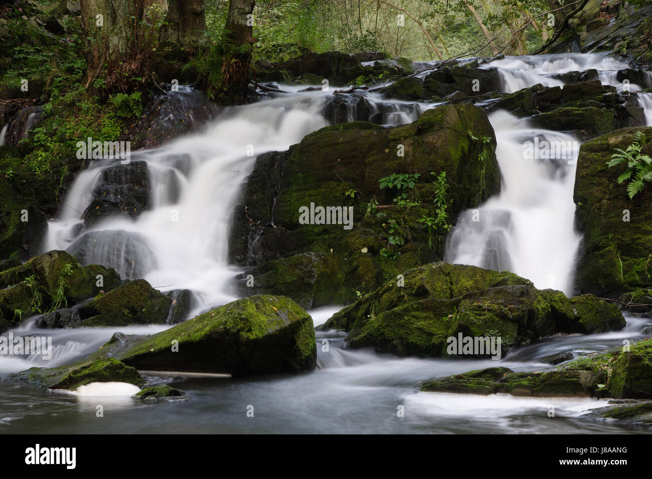 stream, resin, current of the river, river, water, nature, waters, hike ...