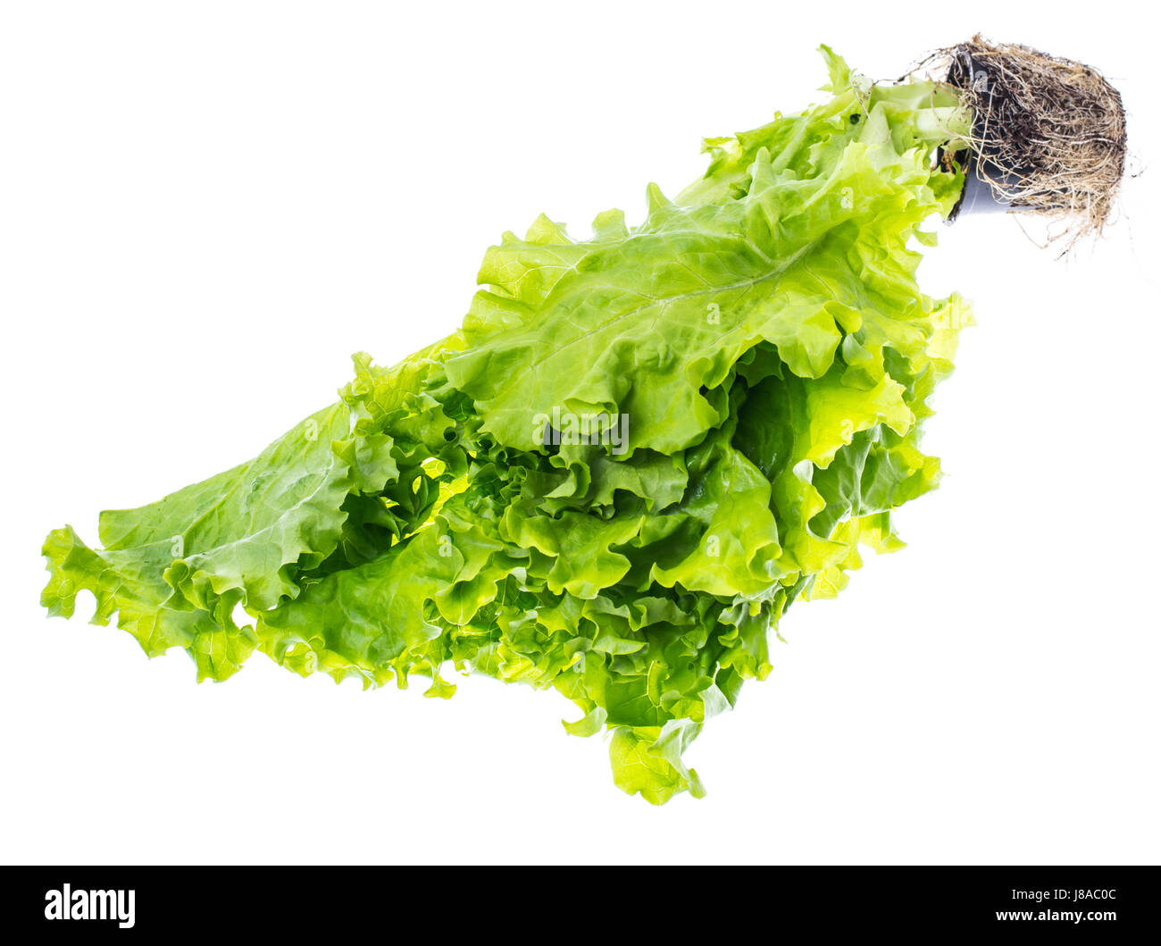 Plastic container soil fresh Cut Out Stock Images & Pictures - Alamy