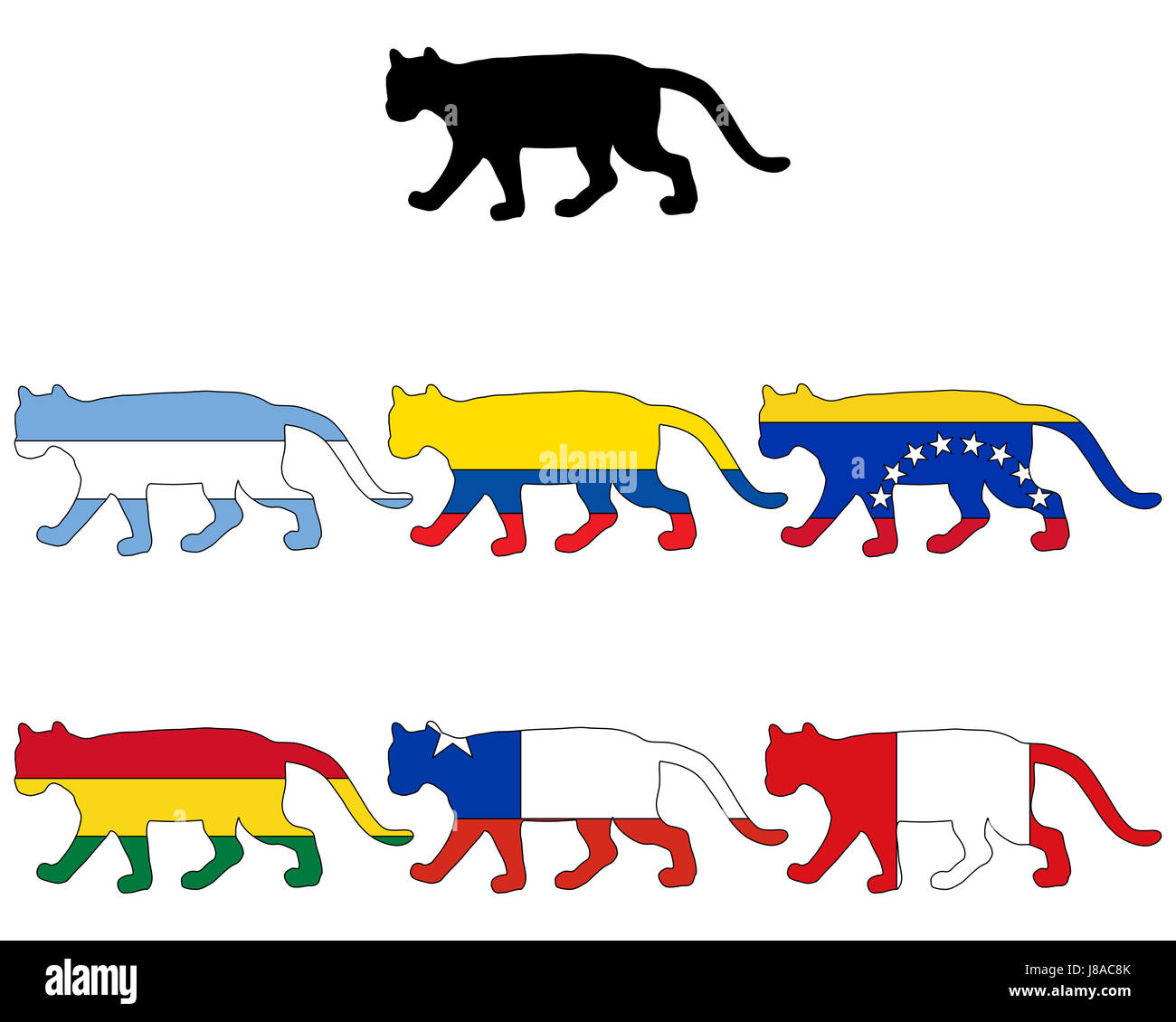 Condition Codes 1 Condition Flags And Codes Processors