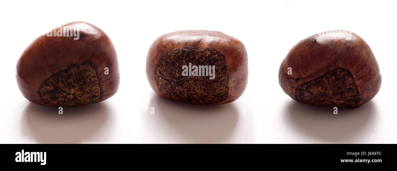 brown, brownish, brunette, nuts, chestnuts, nut, chestnut, organic ...