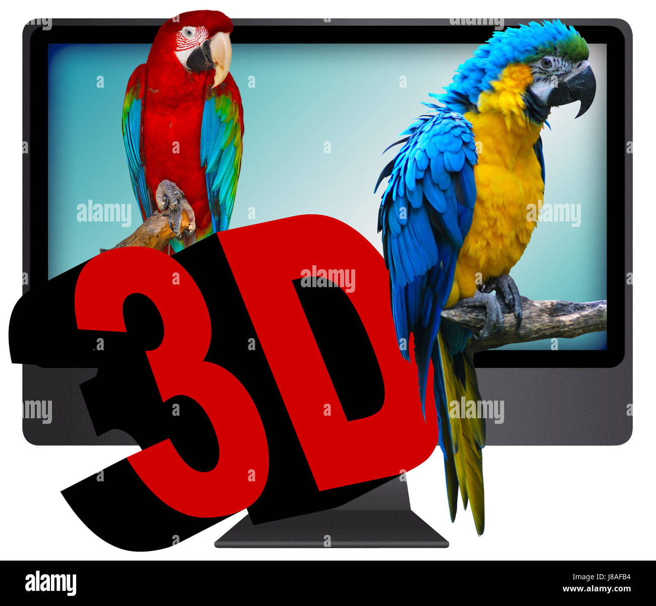 isolated, monitor, screen, technology, parrots, television, tv ...