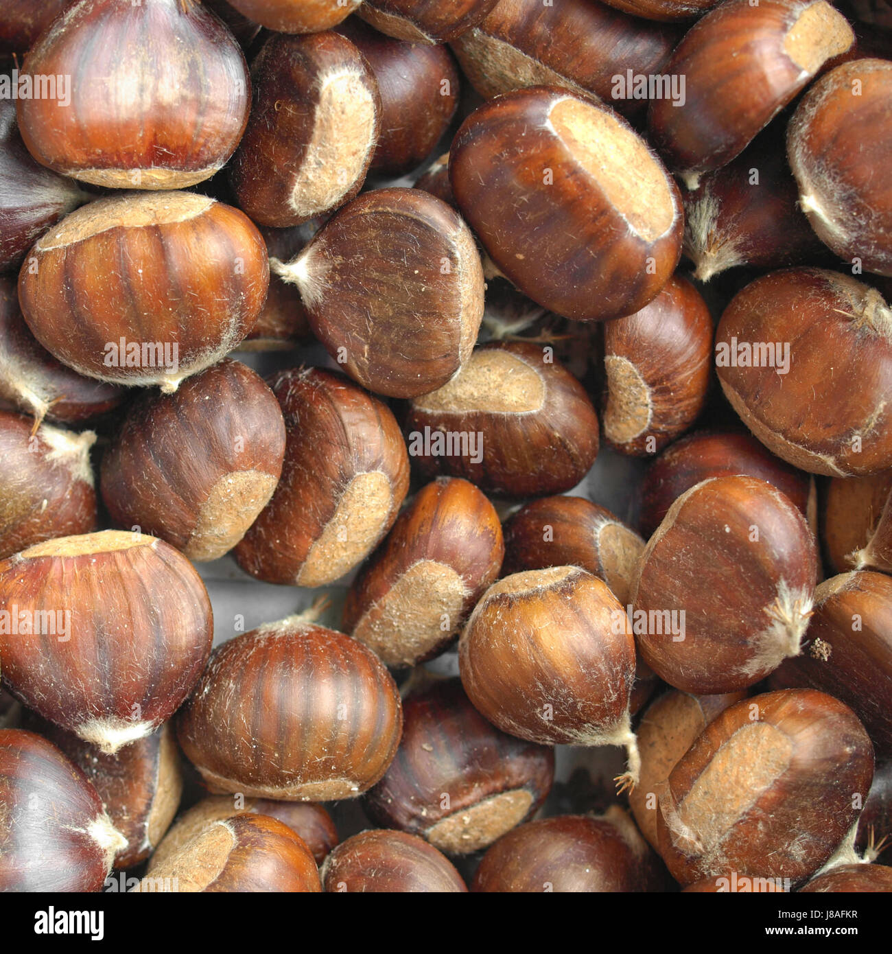 food, aliment, kitchen, cuisine, chestnuts, dish, meal, nutrition ...