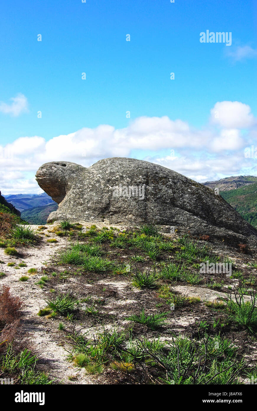 sculpture, rock, portugal, turtle, granite, mountain, tortoise, blue ...
