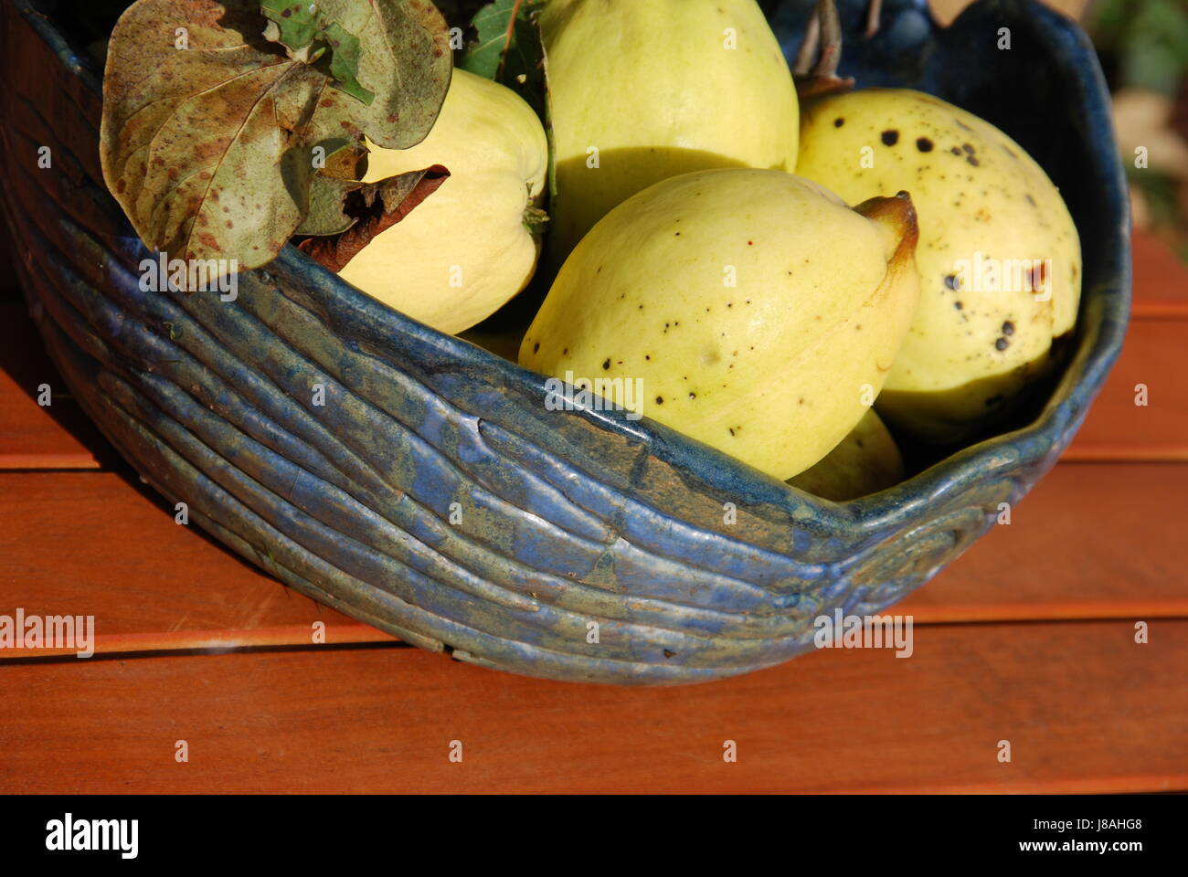 pome, fruit, still life, quinces, quince, food, aliment, plant ...