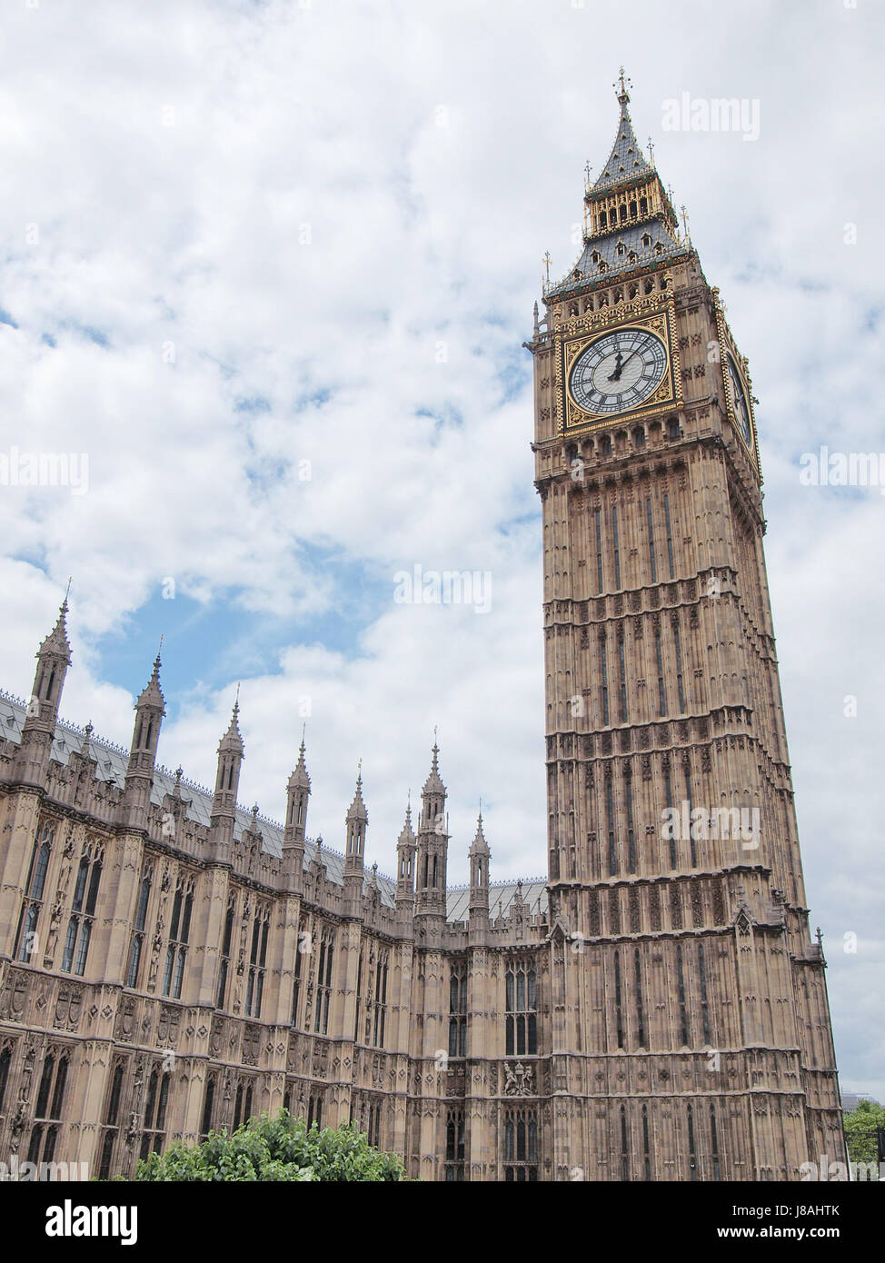 big, large, enormous, extreme, powerful, imposing, immense, relevant ...