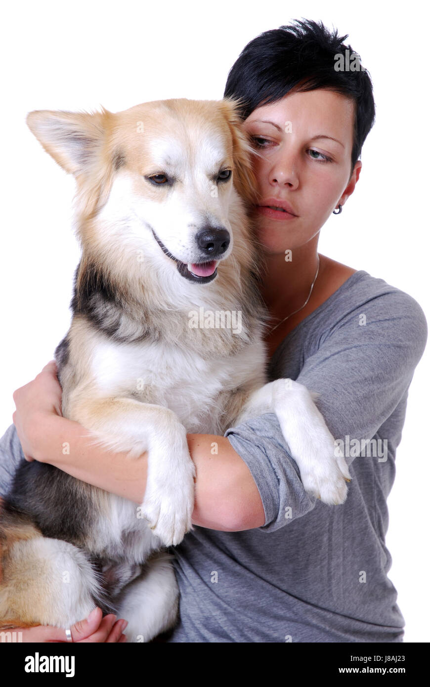 Dog man 2025 hi-res stock photography and images - Alamy