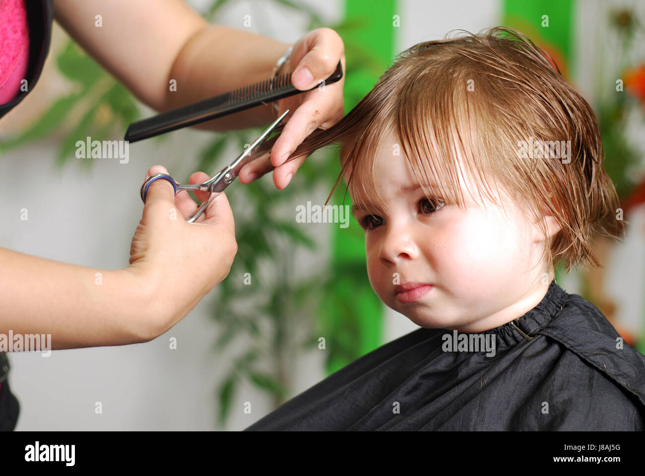 Pony schneiden hi-res stock photography and images - Alamy