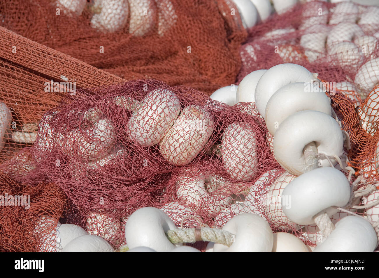 fish, europe, nets, colour, fish, europe, spain, day, during the day ...