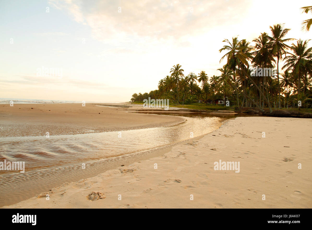beach, seaside, the beach, seashore, float, wave, coast, mud, brazil ...