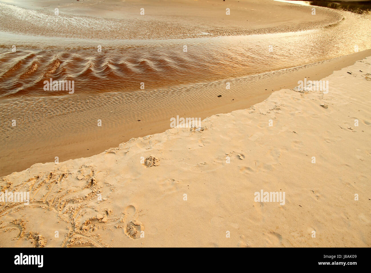 beach, seaside, the beach, seashore, float, wave, coast, mud, brazil ...