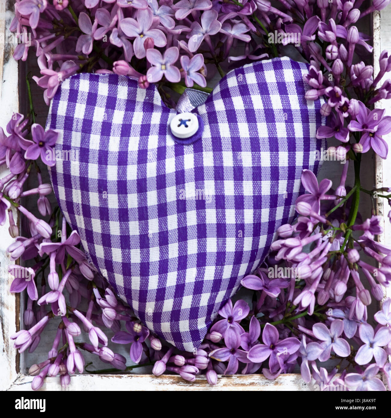heart with lilac Stock Photo - Alamy