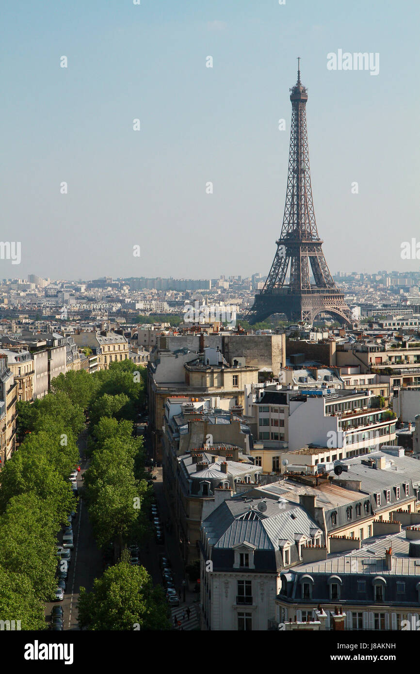 blue, humans, human beings, people, folk, persons, human, human being ...