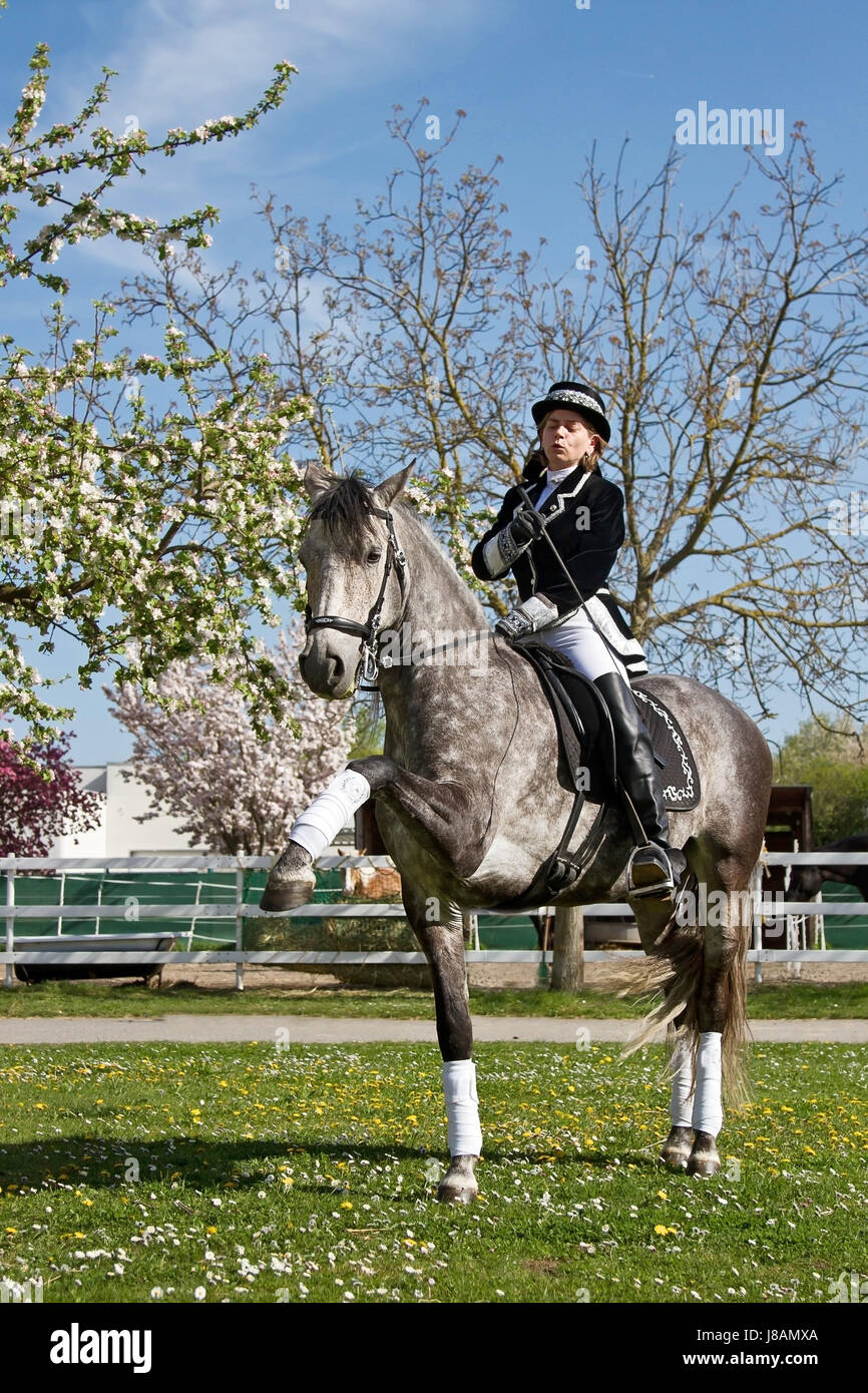 English Riding Costume