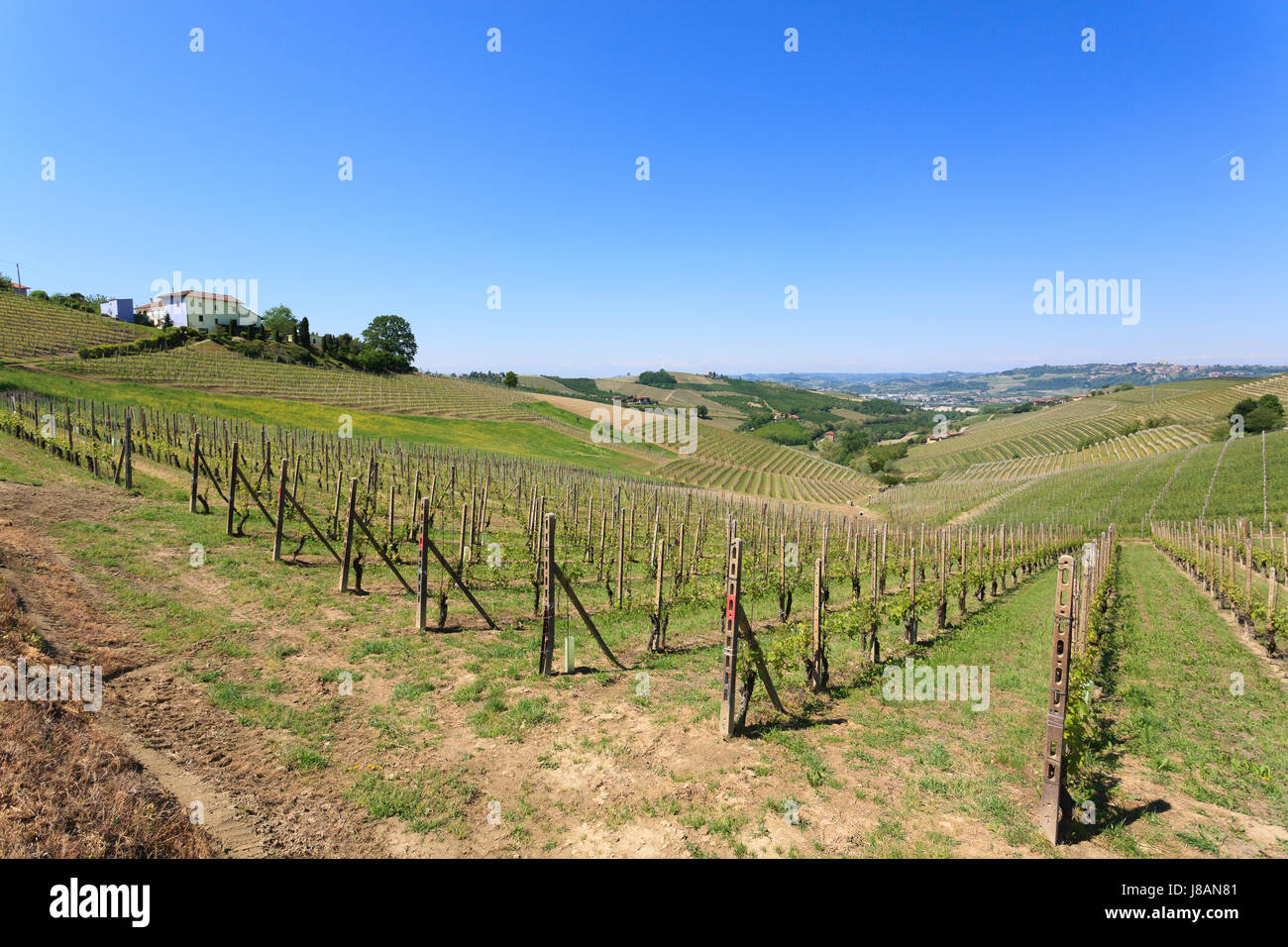 Beautiful Italian landscape. Vineyards from Langhe region,Italy ...