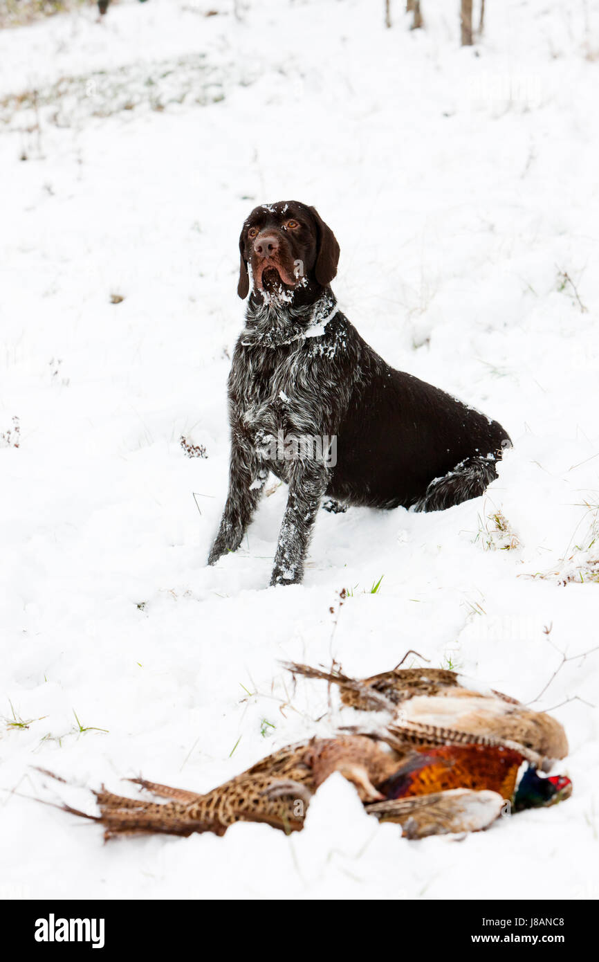 Coke catch hi-res stock photography and images - Alamy