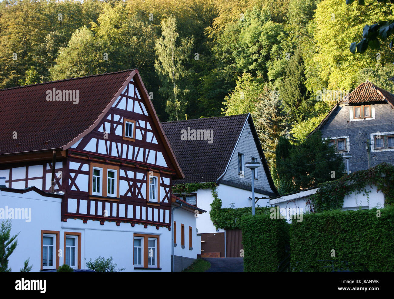 Thal Stock Photos & Thal Stock Images - Alamy