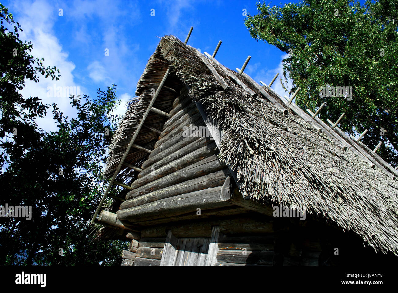 house, building, were, reed, of, from, house, building, travel, holiday ...