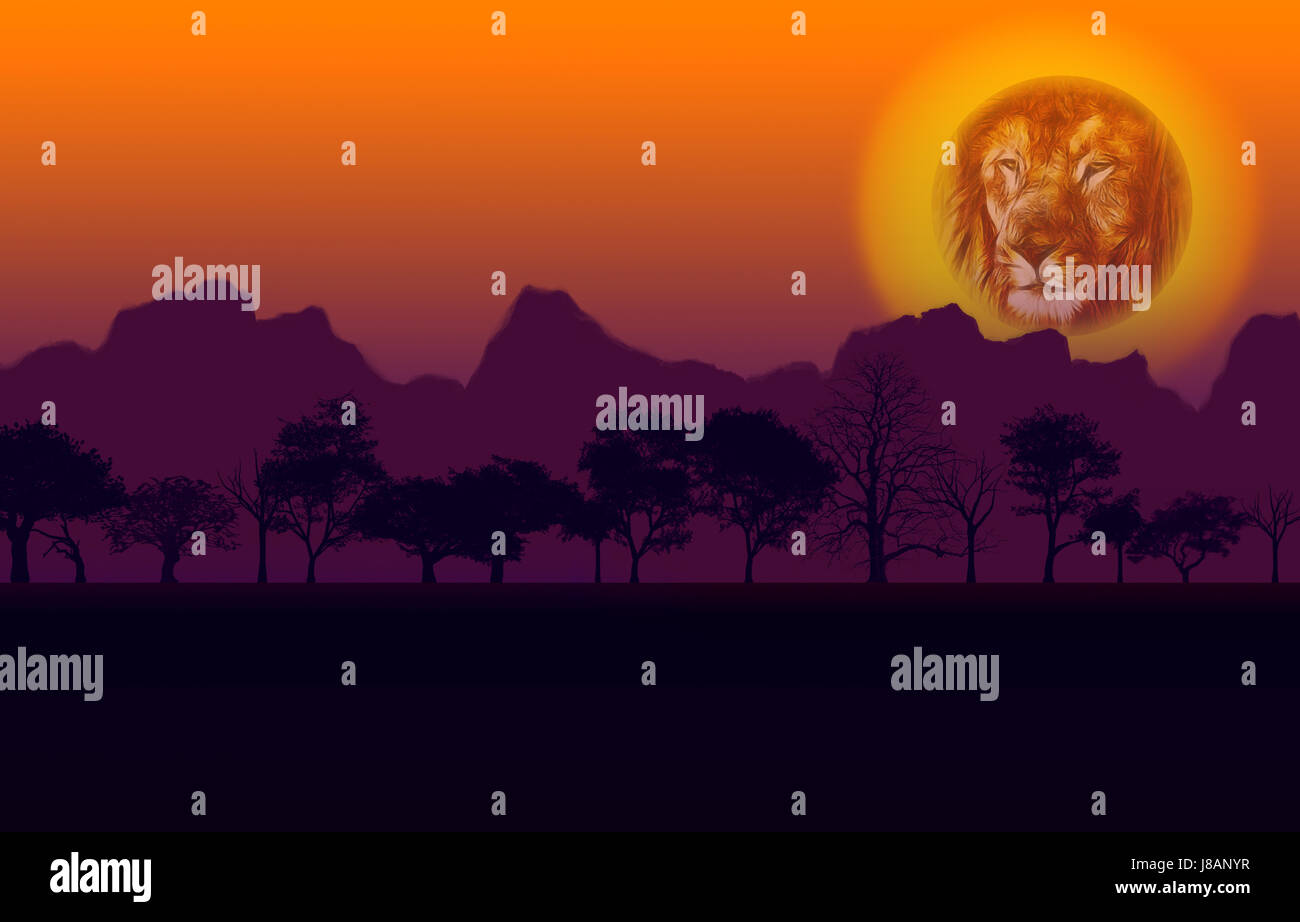 Dust bands hi-res stock photography and images - Alamy