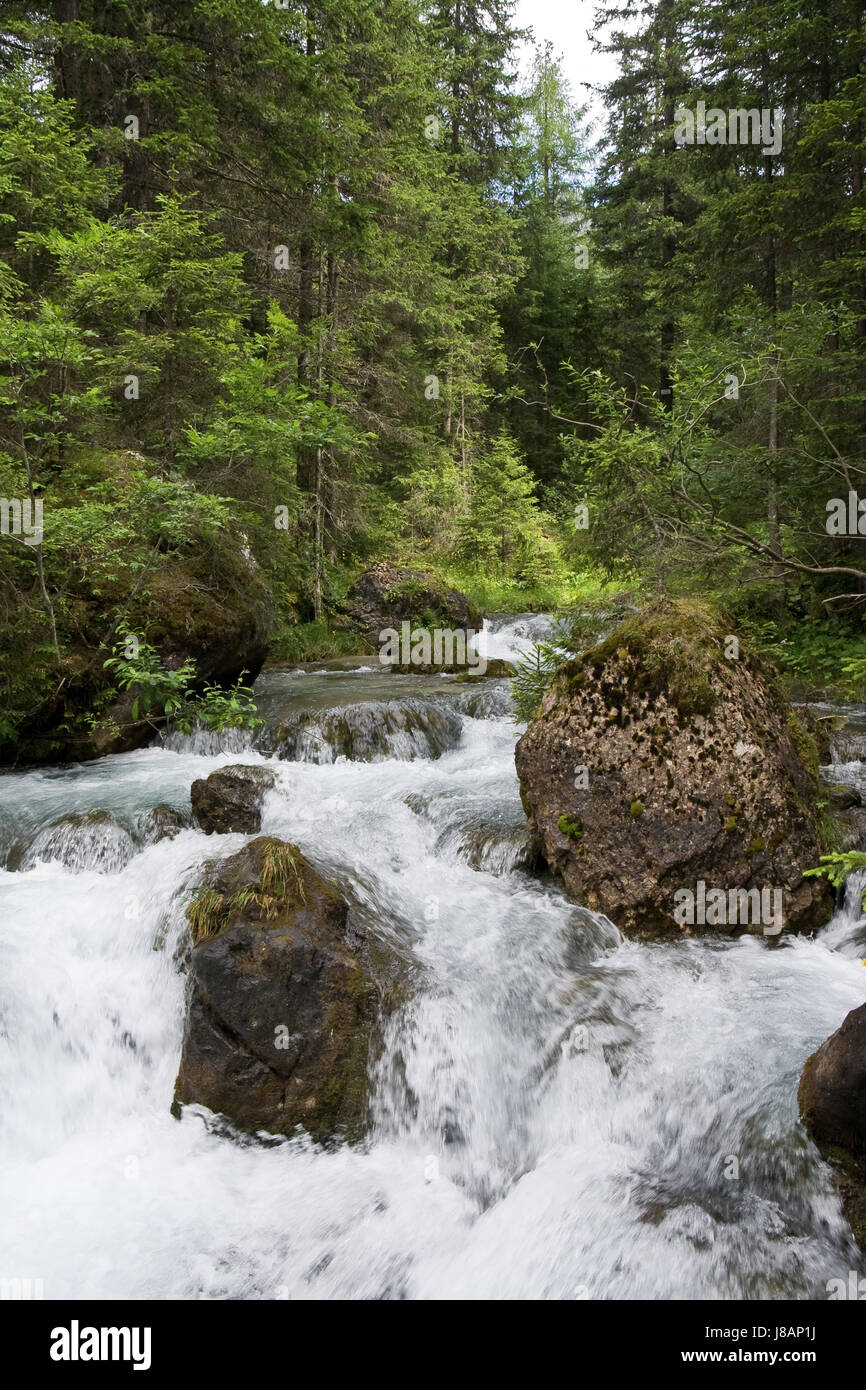 Rapids mountain stream flowing during hi-res stock photography and ...