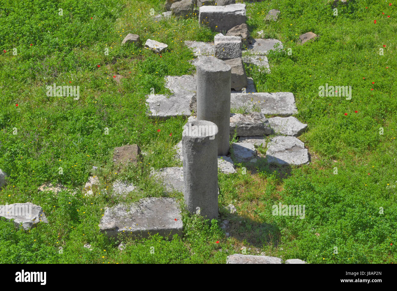 classical, style of construction, architecture, architectural style ...