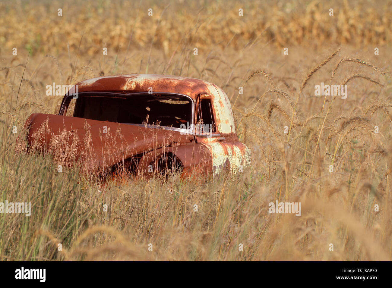 field, car, automobile, vehicle, means of travel, motor vehicle, old ...