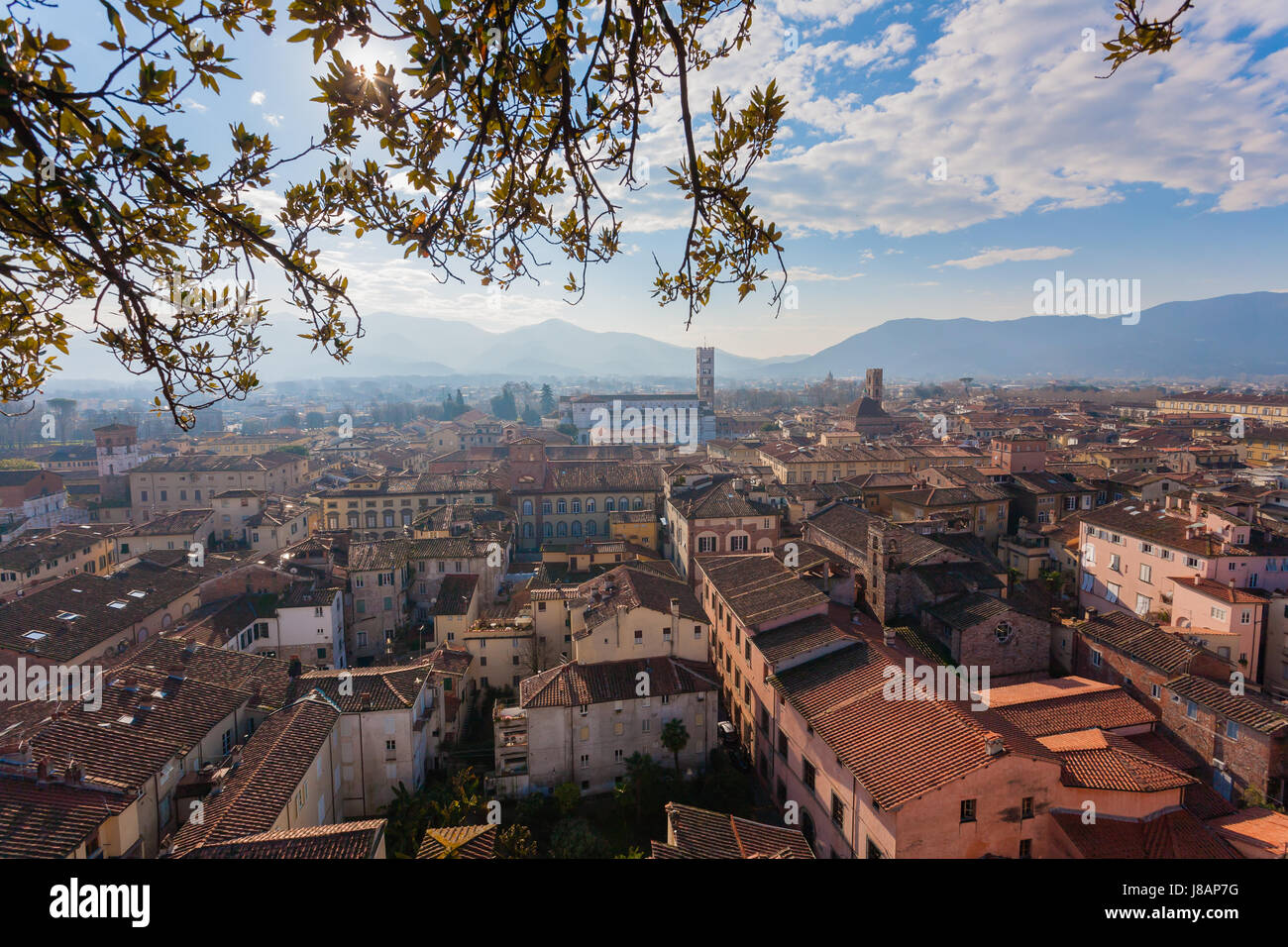 Lucca from Guinigi Tower. Italian landmark. Aerial view of Lucca Stock ...