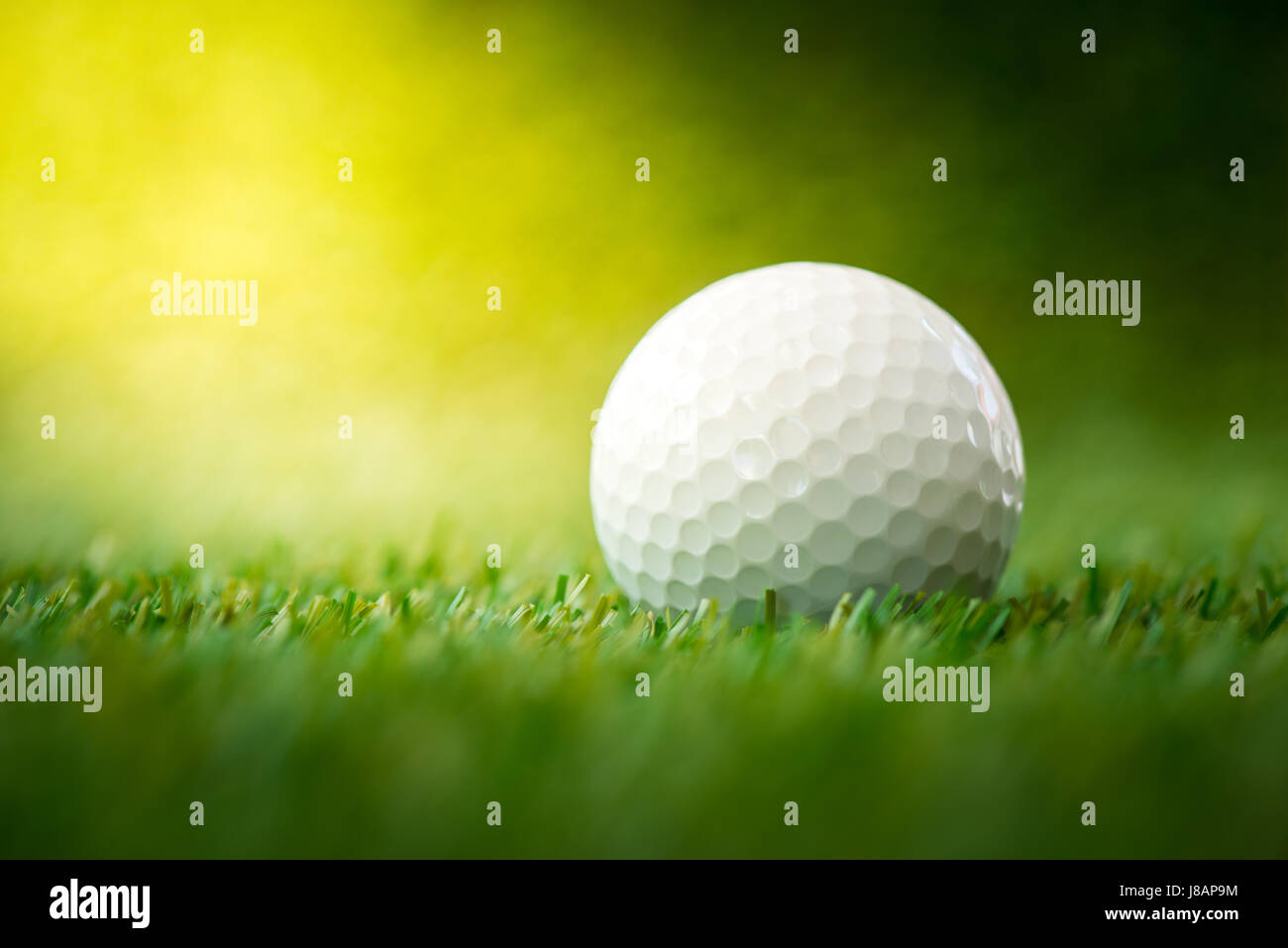 golf ball on fairway Stock Photo - Alamy