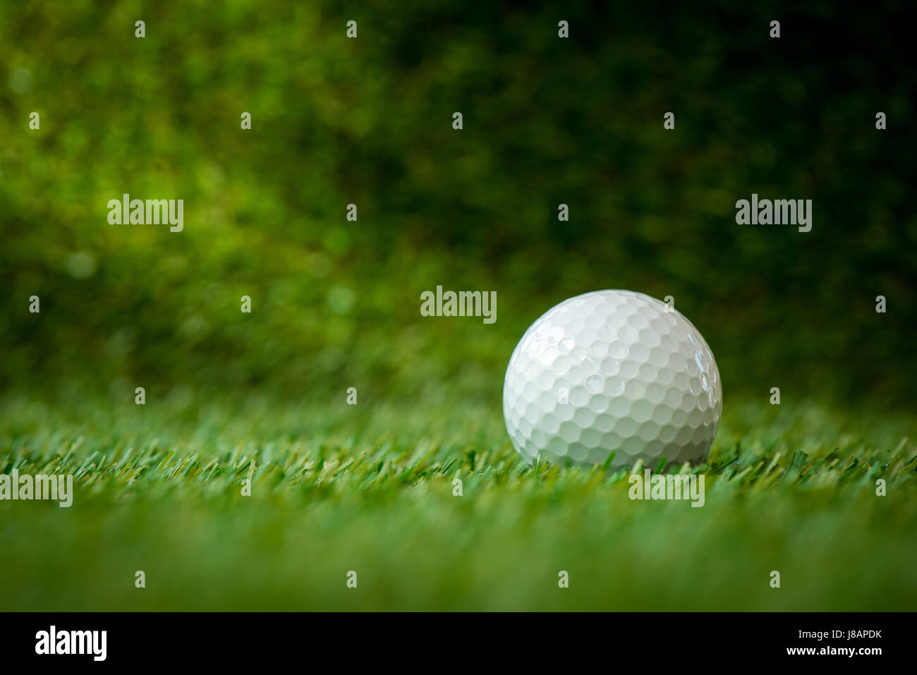 golf ball on fairway Stock Photo - Alamy