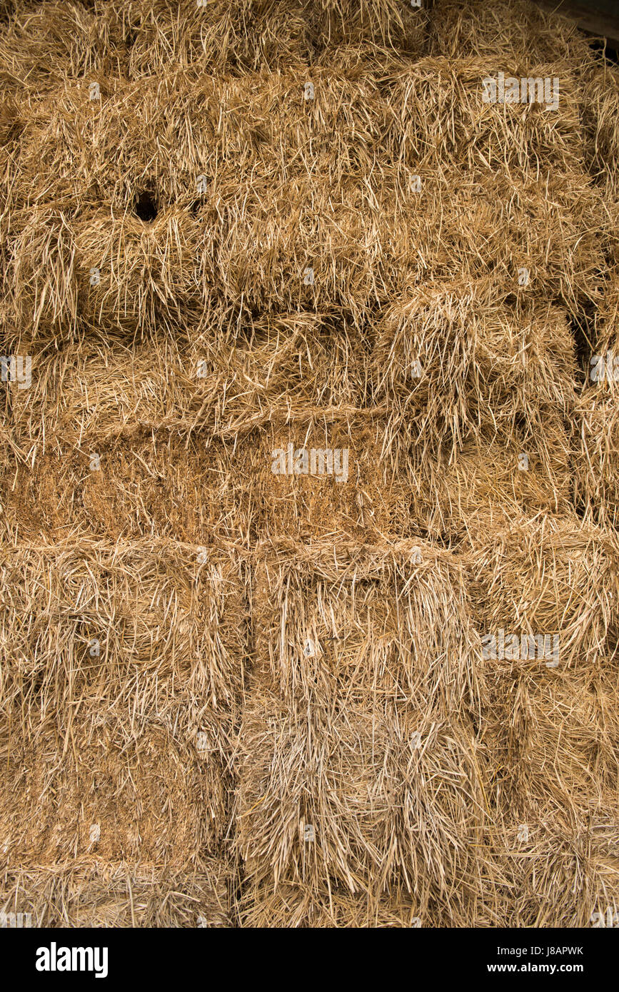 hay blocks background Stock Photo - Alamy