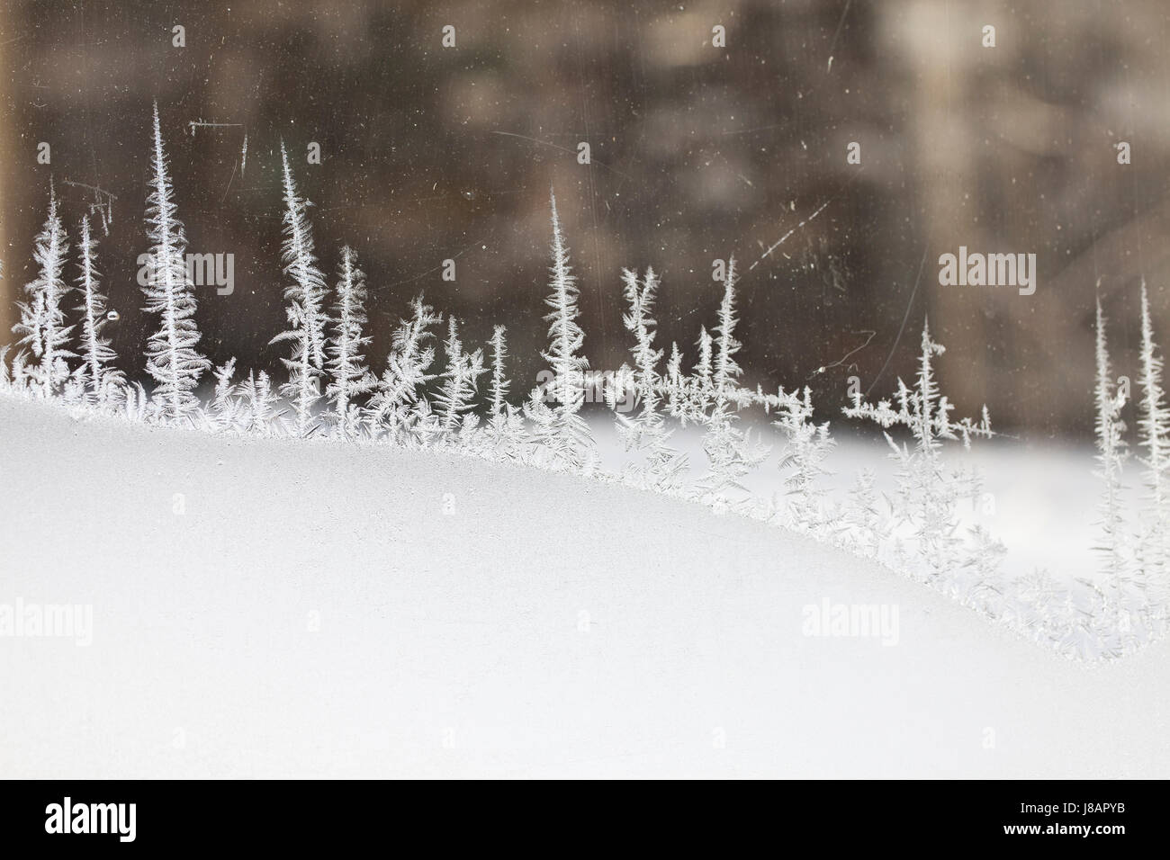 winter, frost, disc, window, frostwork, winter, cold, ripe, frost ...