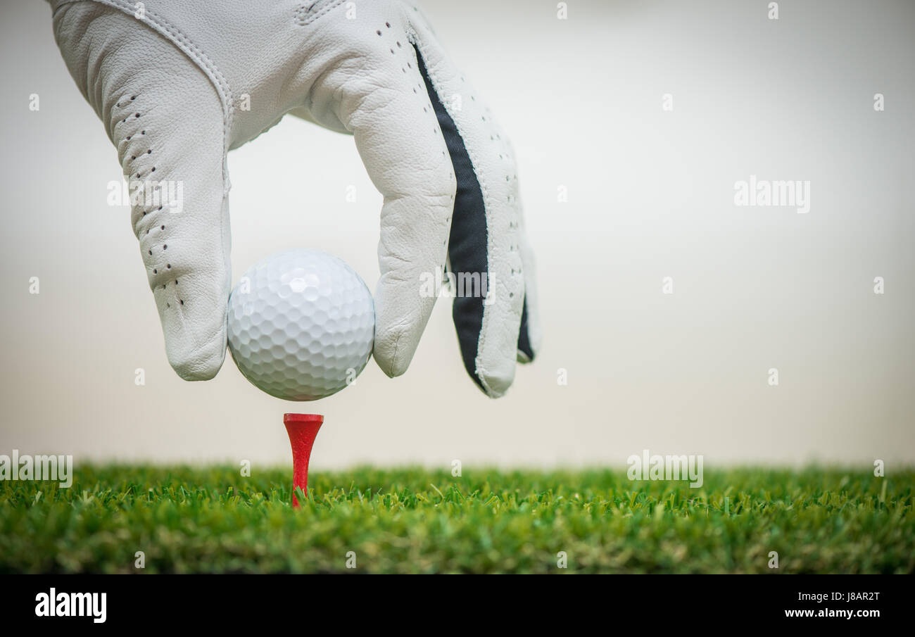 golf players hand placing ball on tee Stock Photo - Alamy
