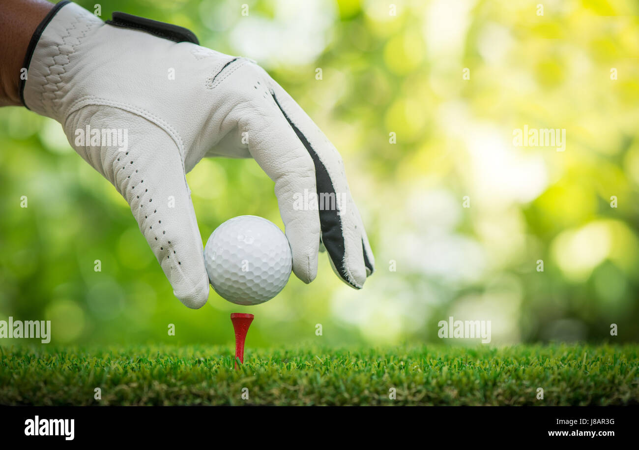 golf players hand placing ball on tee Stock Photo - Alamy