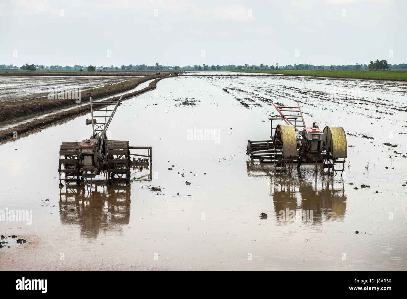 tractor in rice field for agriculture soil preparation Stock Photo - Alamy