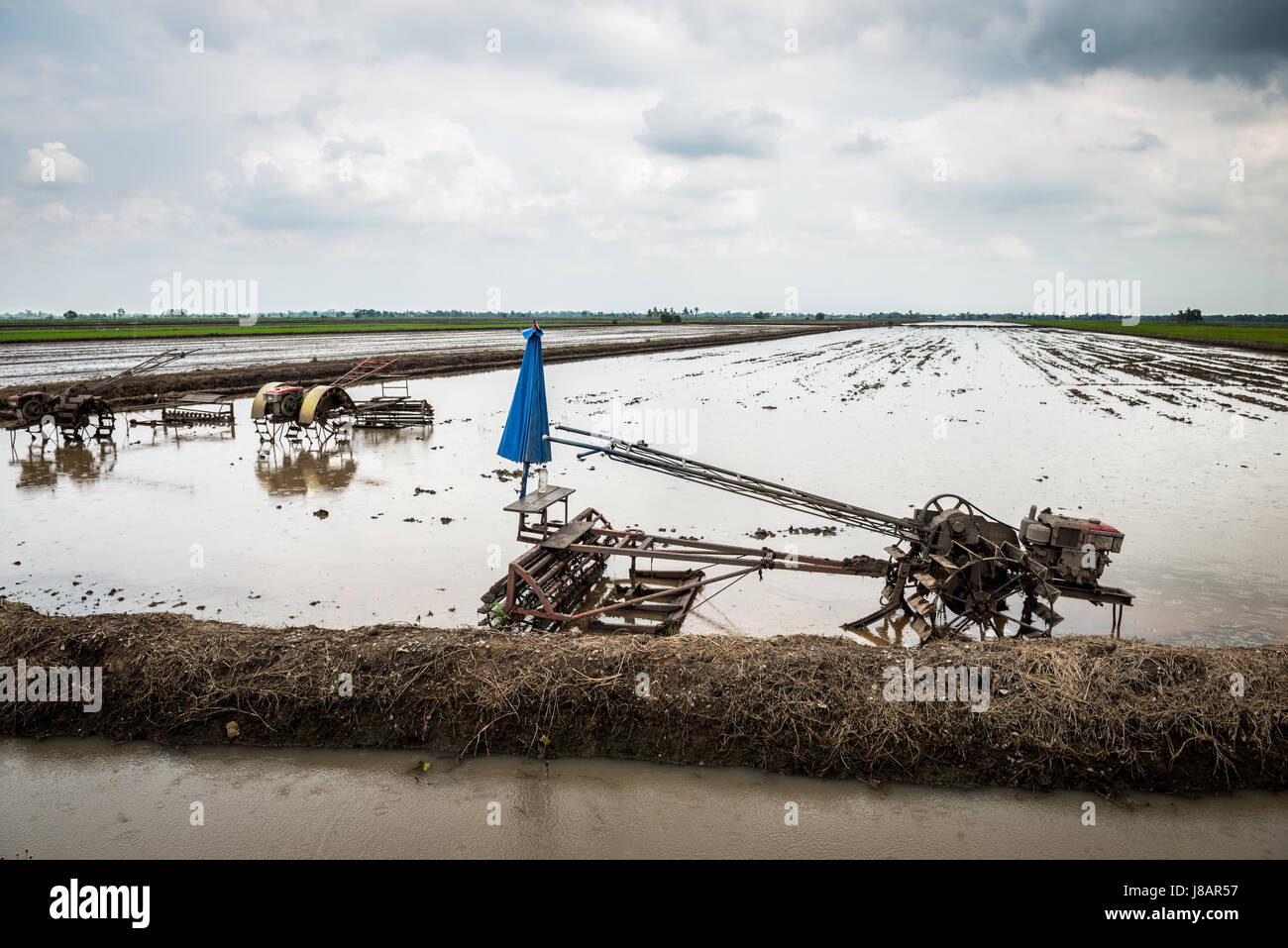 tractor in rice field for agriculture soil preparation Stock Photo - Alamy