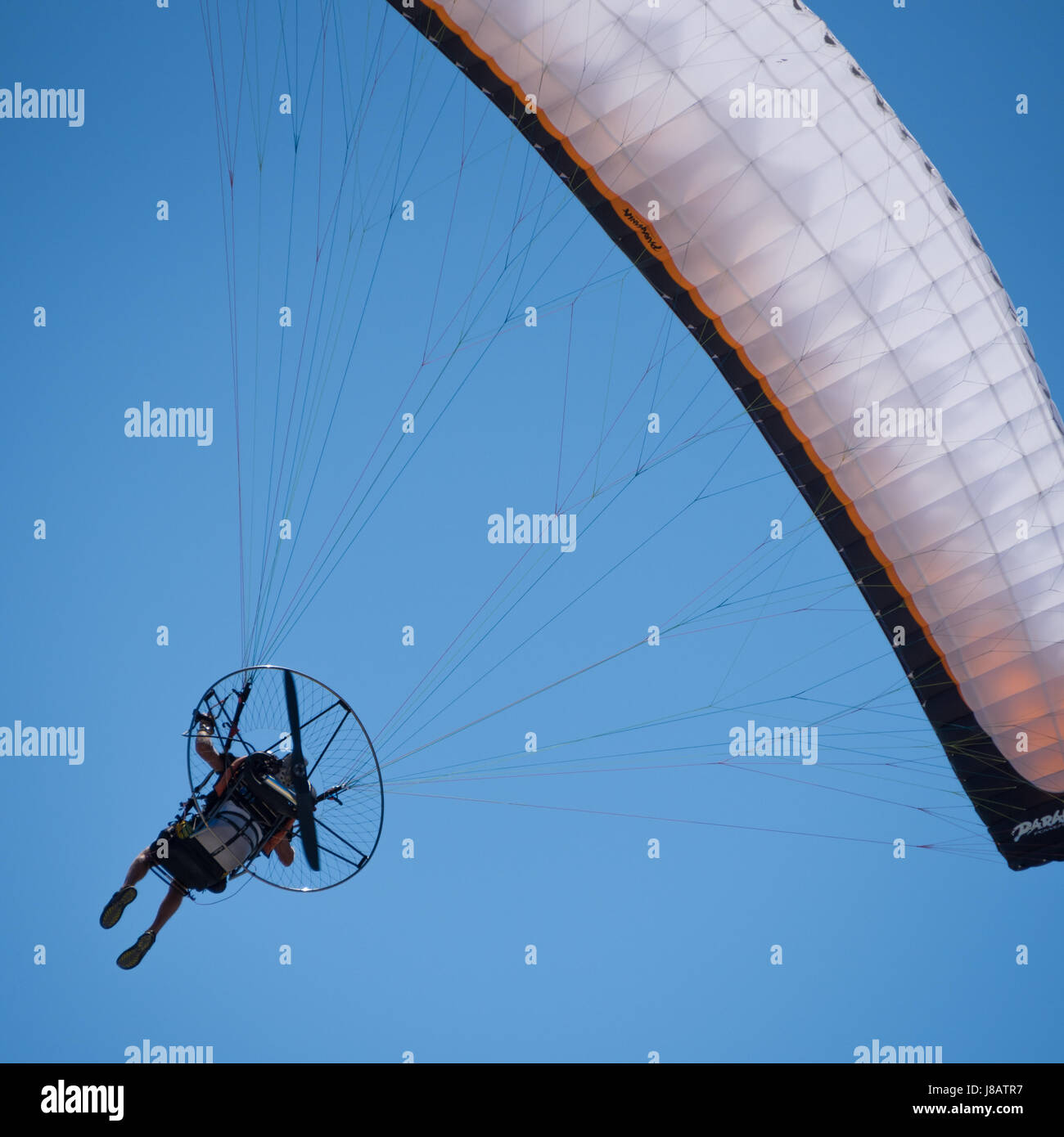 Paragliding