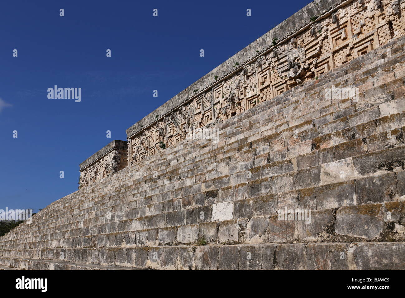Mayan sacred tree hi-res stock photography and images - Alamy