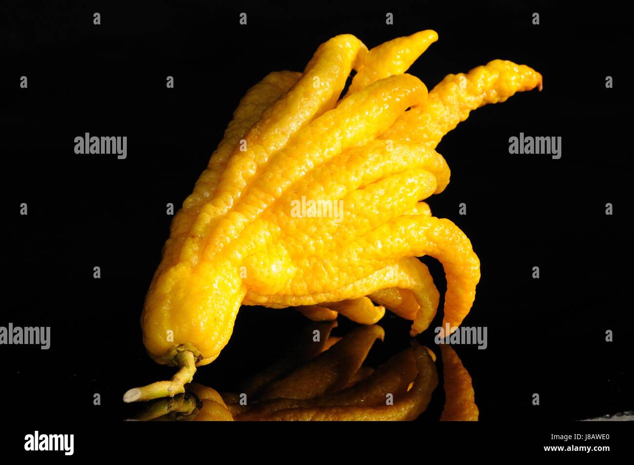 Buddha s hand hi-res stock photography and images - Alamy