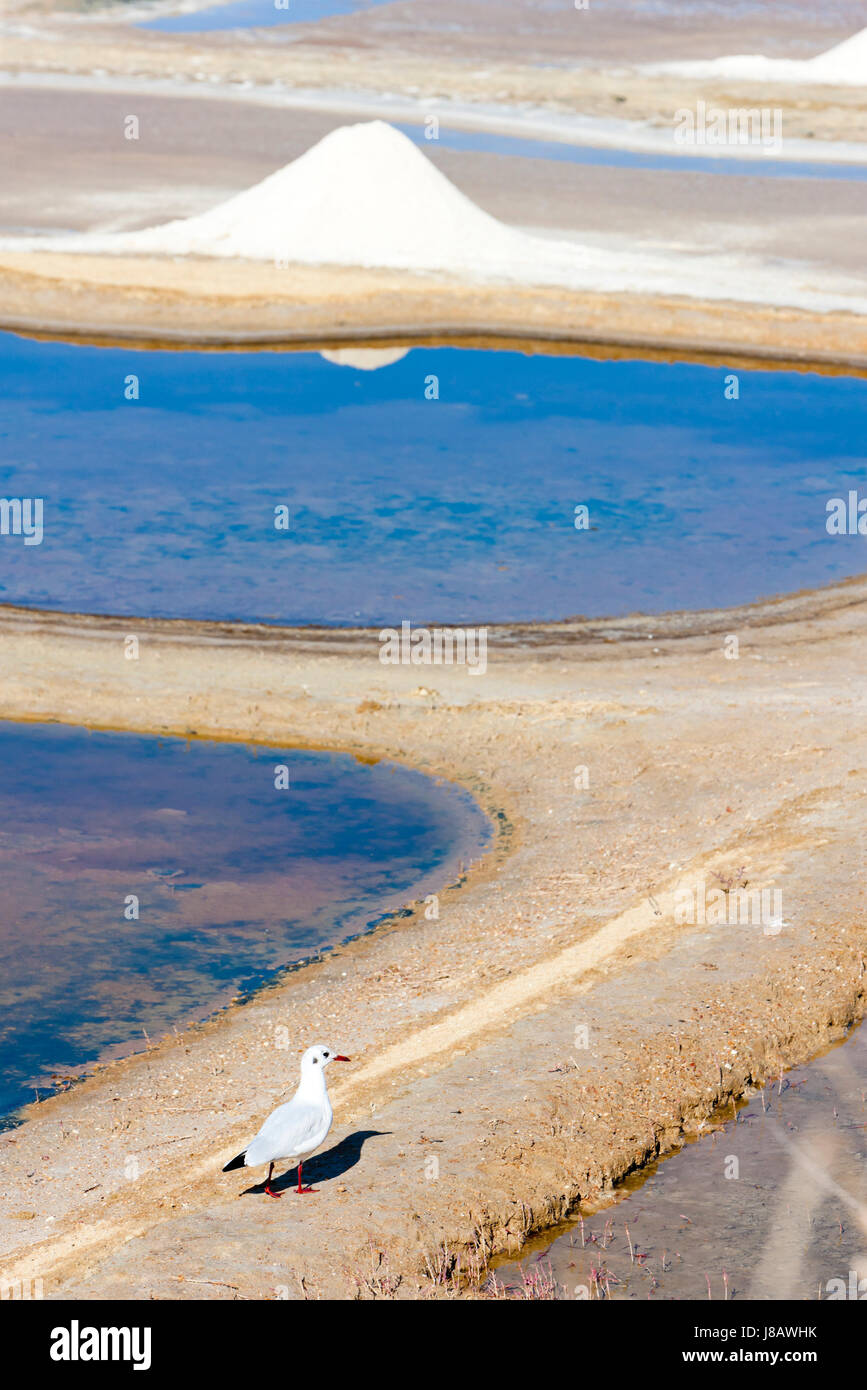 landscapes, salt, europe, france, outside, salt lake, saline, backdrop ...