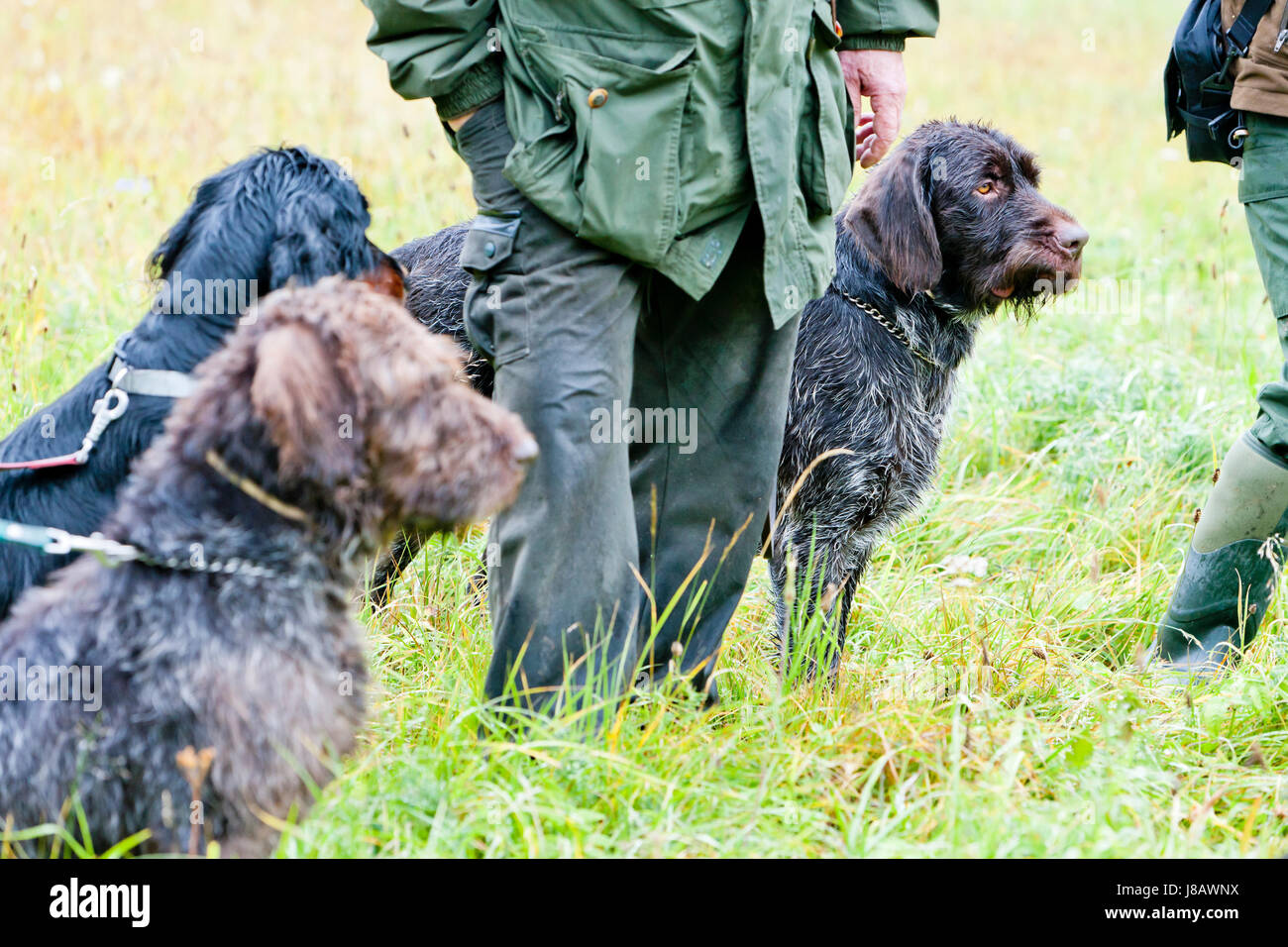 Chase people hi-res stock photography and images - Alamy